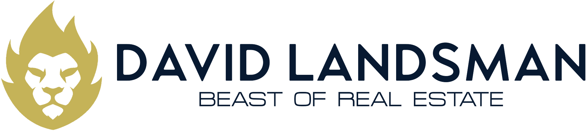 David Landsman | Beast of Real Estate